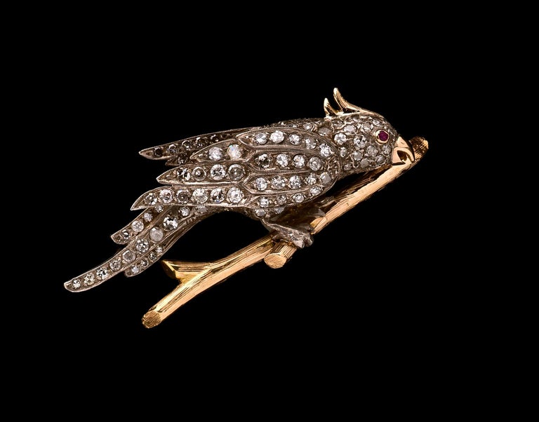Vintage Retro 1930 Cockatoo Bird Ruby Diamond Platinum Gold Brooch For ...