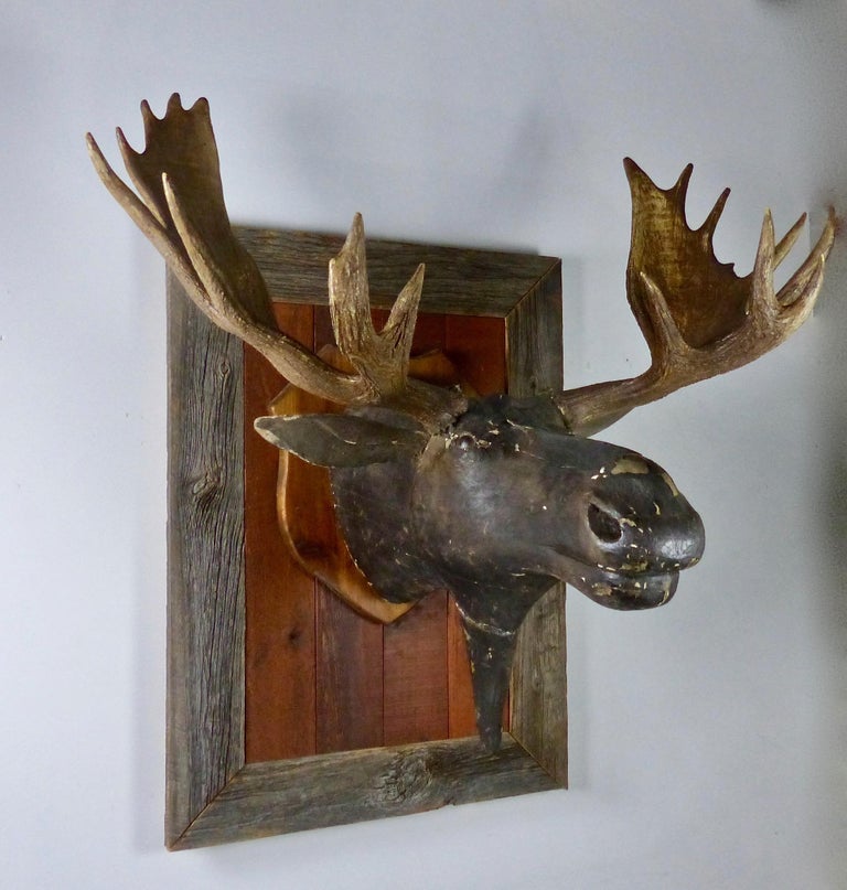 1940 Antique Folk Art Carved Moose Head with Antlers at 1stDibs