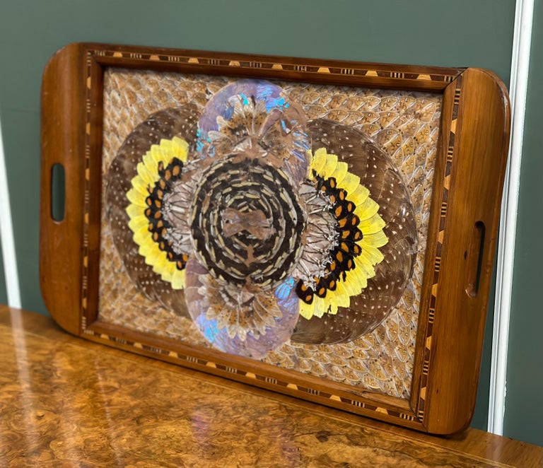 1940'S BRAZILIAN INLAID WOOD TRAY WITH REAL MORPHO BUTTERFLY WiNGS For ...