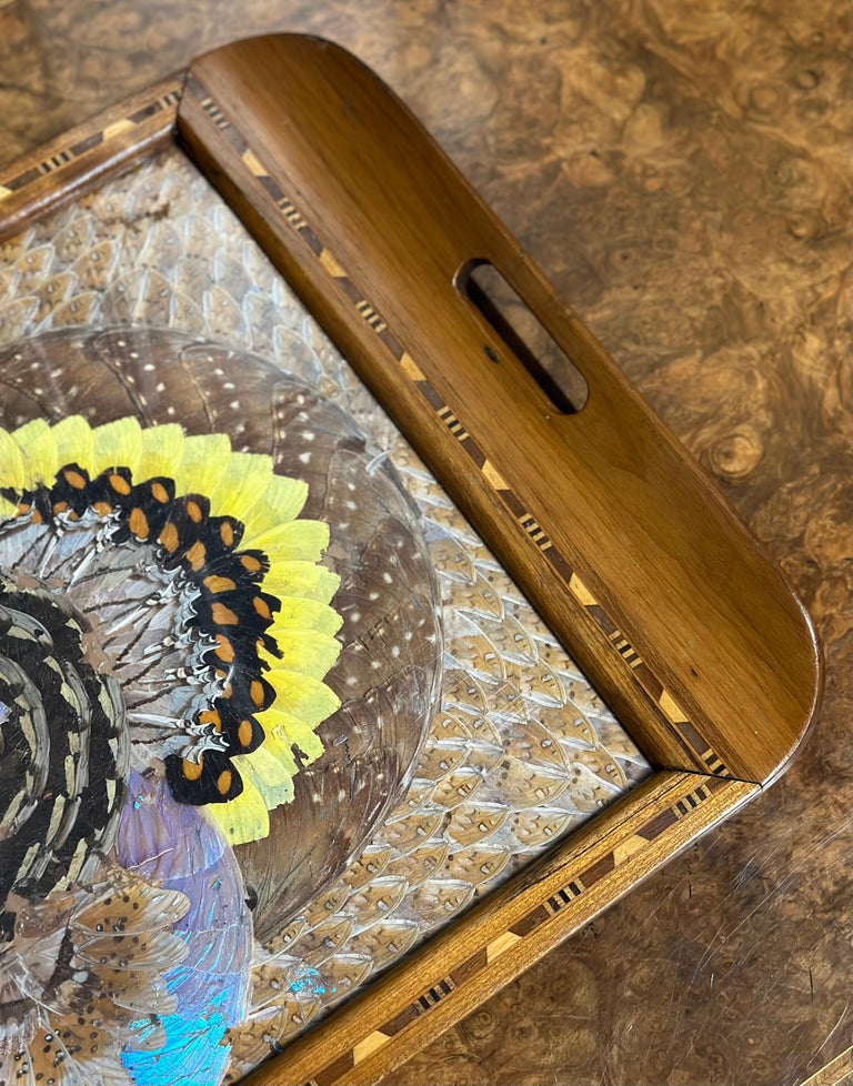 1940'S BRAZILIAN INLAID WOOD TRAY WITH REAL MORPHO BUTTERFLY WiNGS For ...