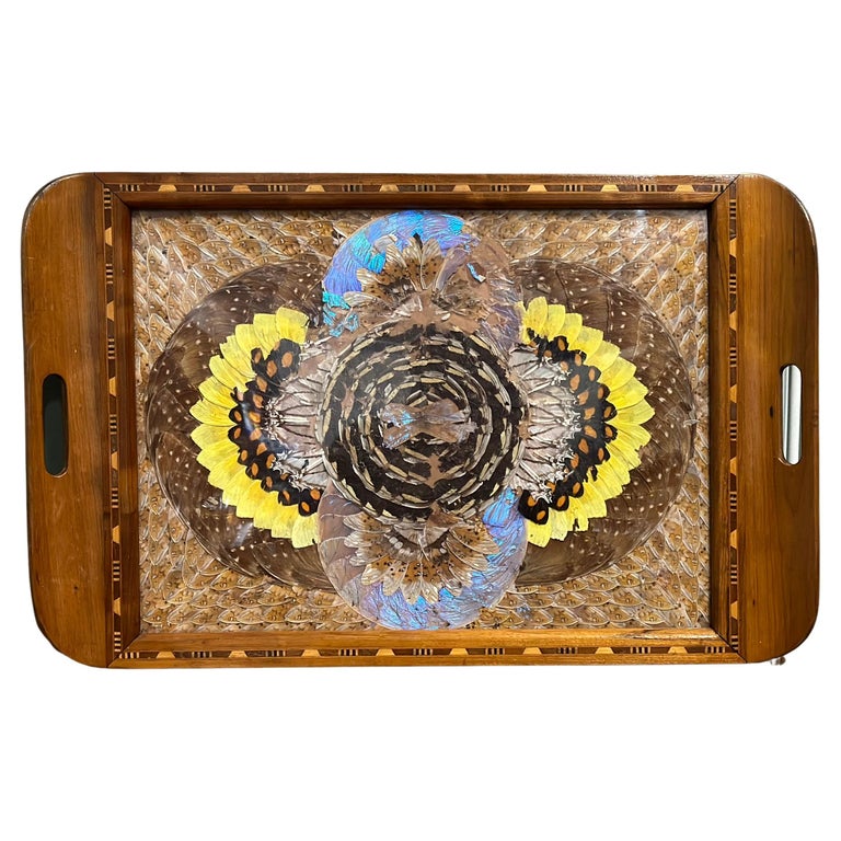 1940'S BRAZILIAN INLAID WOOD TRAY WITH REAL MORPHO BUTTERFLY WiNGS For ...