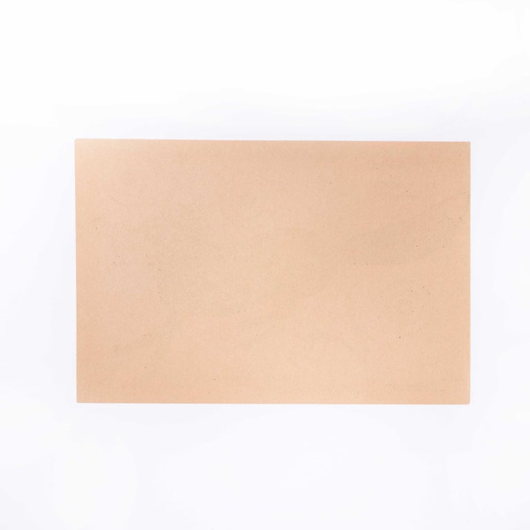 1950's American Fox Shooting Target For Sale at 1stDibs