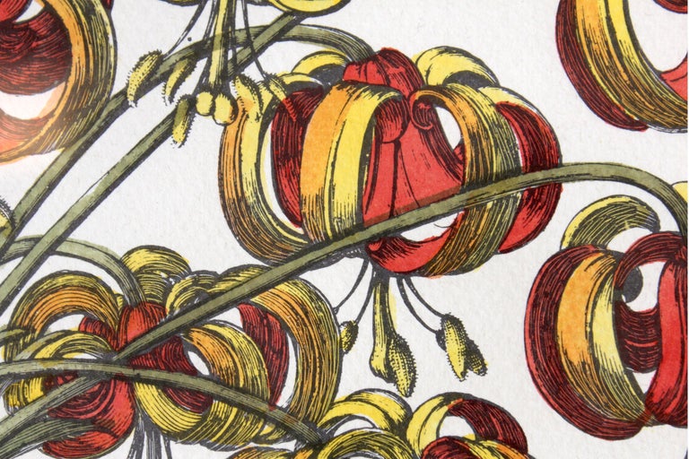 Botanical prints "Edizioni d'arte Remondini", Italy 1950s For Sale at ...