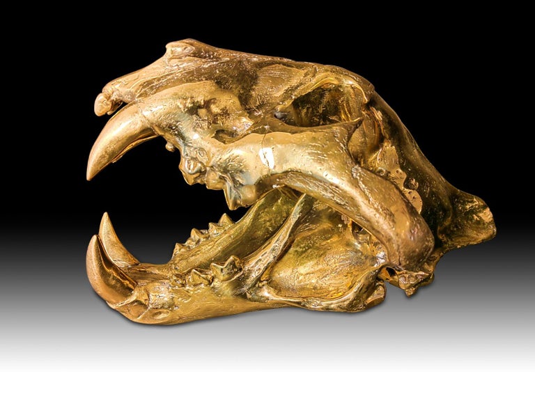 1950s Bronze Lion Skull For Sale at 1stDibs