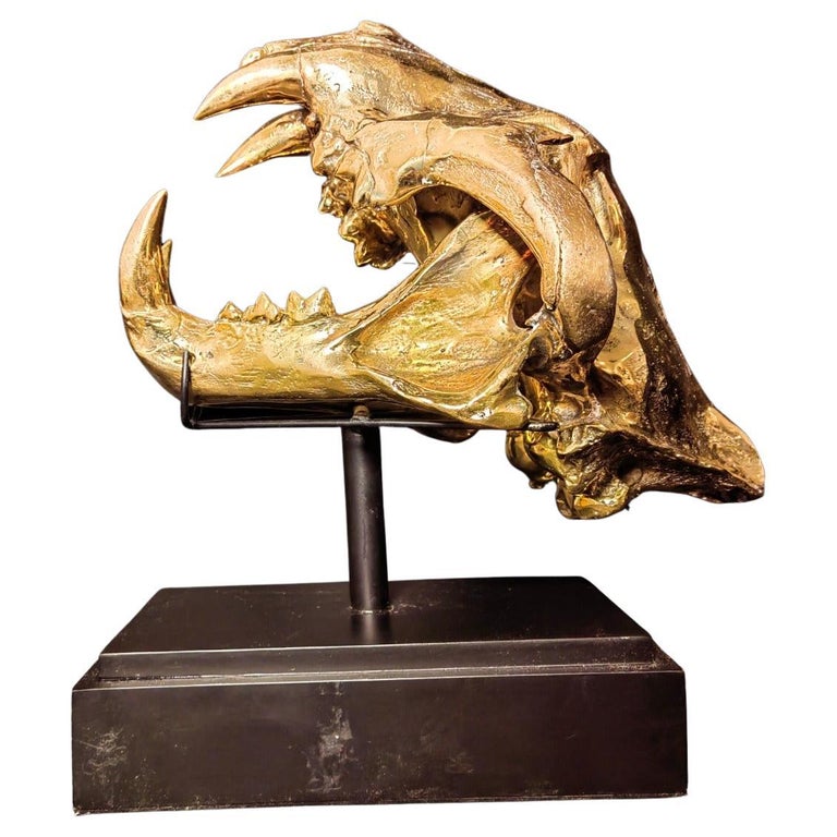 1950s Bronze Lion Skull For Sale at 1stDibs