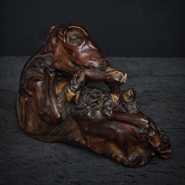 1950s Dutch Rare Mummified Veterinary Calf Foetus Specimen Curiosity ...