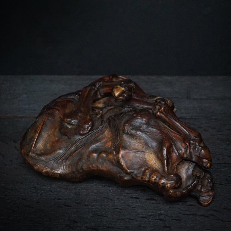 1950s Dutch Rare Mummified Veterinary Calf Foetus Specimen Curiosity ...