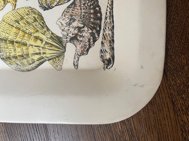 1950's Fornasetti Signed Shell Tray For Sale at 1stDibs