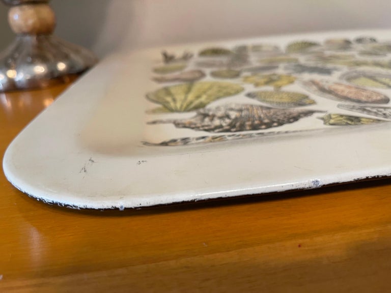 1950's Fornasetti Signed Shell Tray For Sale at 1stDibs