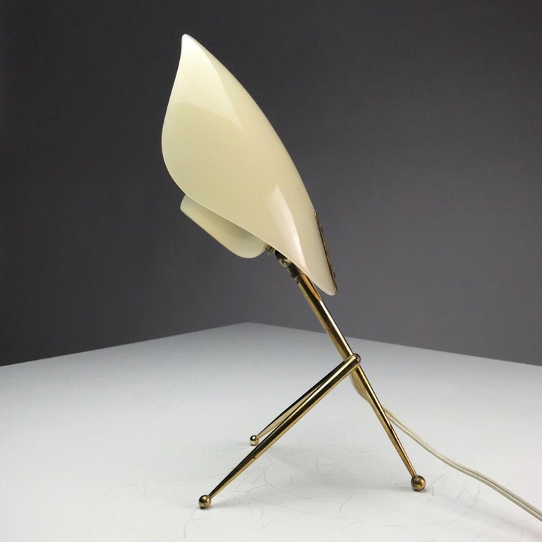 1950s German Brass Table Lamps Stilnovo Style with Perspex Tulip Shaped ...