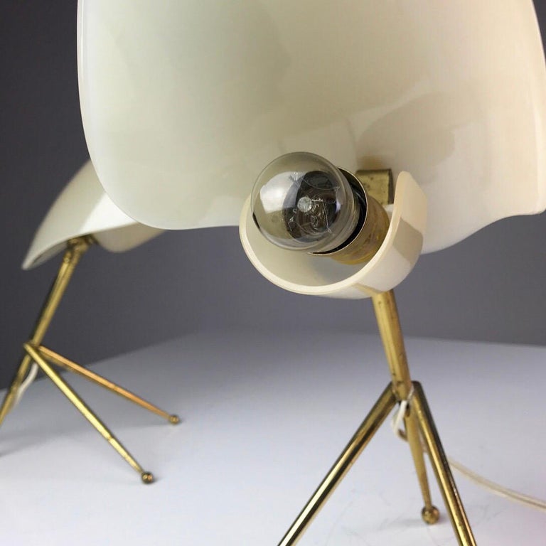 1950s German Brass Table Lamps Stilnovo Style with Perspex Tulip Shaped ...