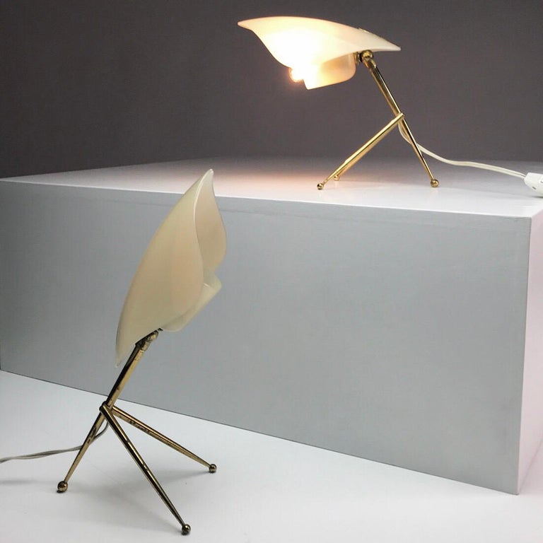 1950s German Brass Table Lamps Stilnovo Style with Perspex Tulip Shaped ...