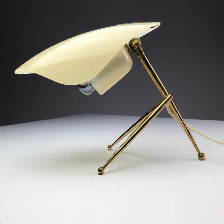 1950s German Brass Table Lamps Stilnovo Style with Perspex Tulip Shaped ...