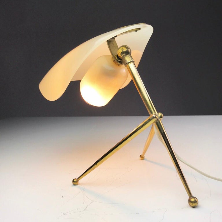 1950s German Brass Table Lamps Stilnovo Style with Perspex Tulip Shaped ...