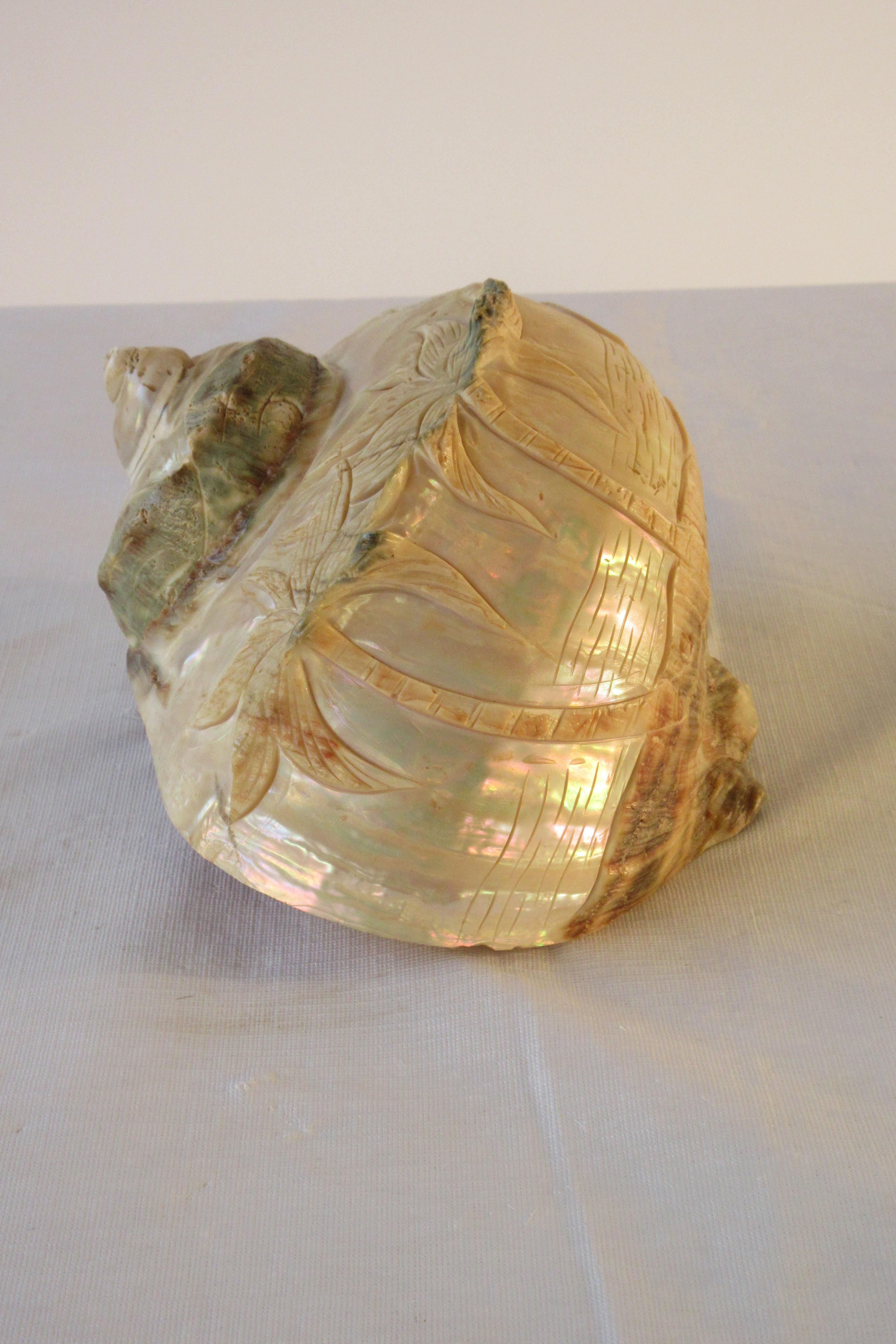 1950s Hand Carved Sea Shell at 1stDibs