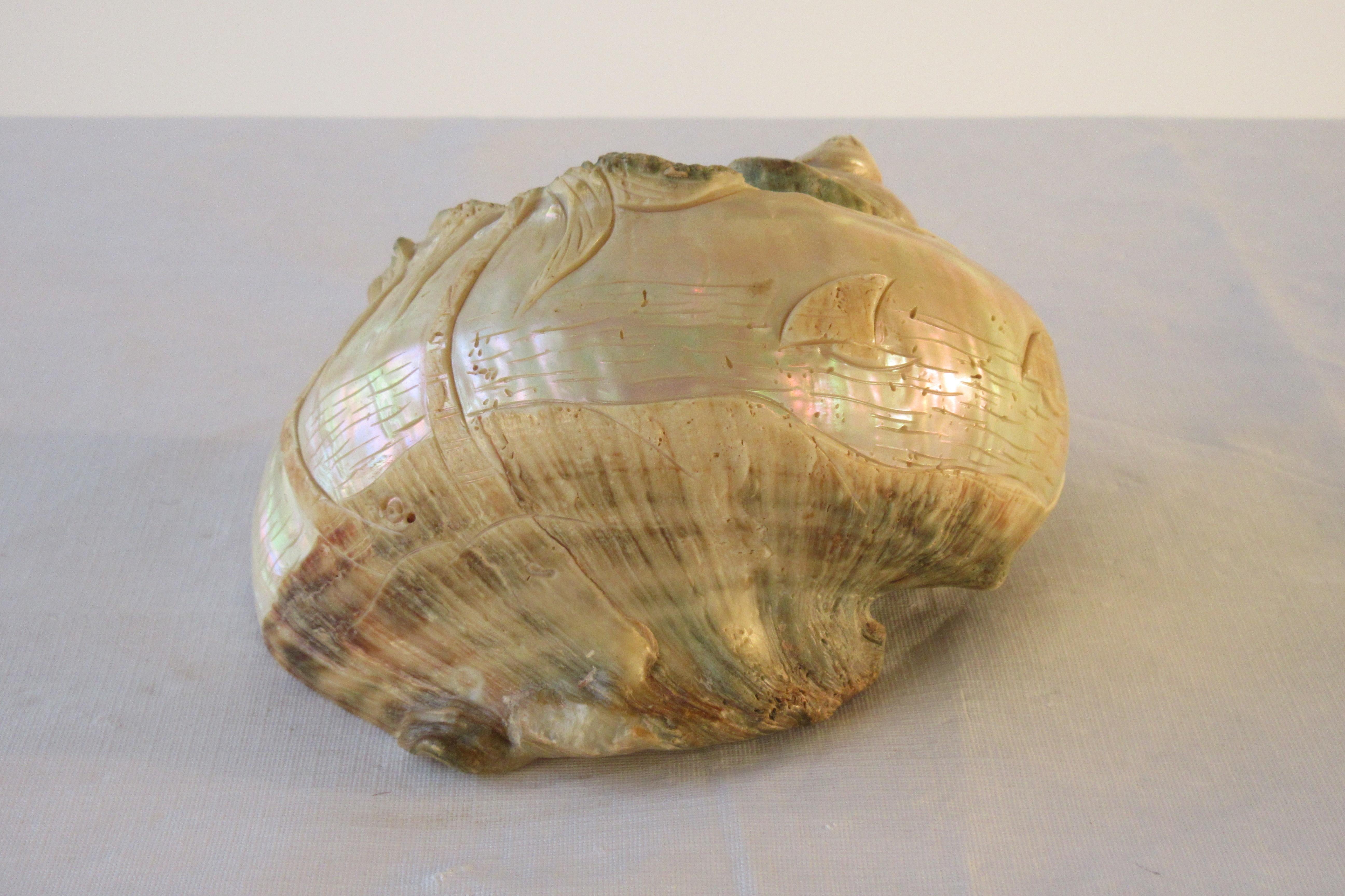 1950s Hand Carved Sea Shell at 1stDibs