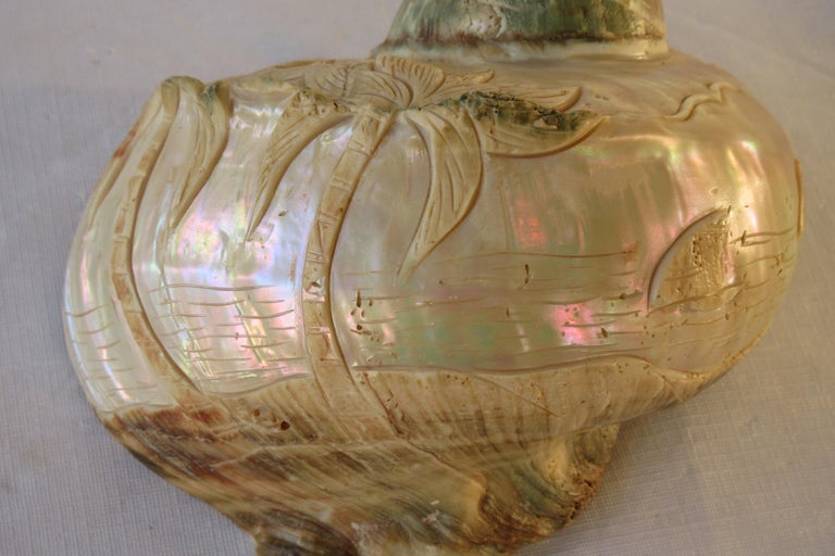 1950s Hand Carved Sea Shell at 1stDibs