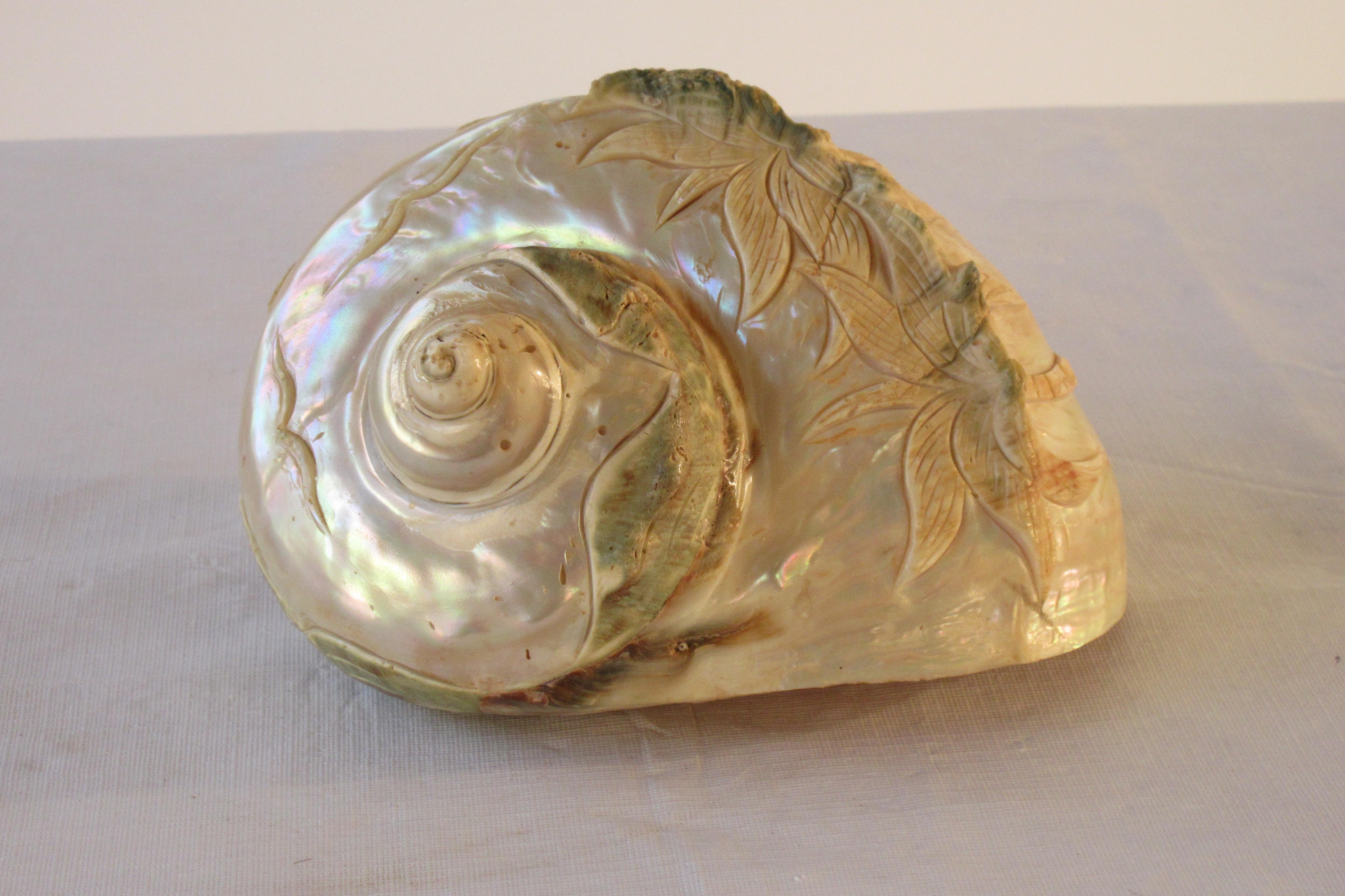 1950s Hand Carved Sea Shell at 1stDibs