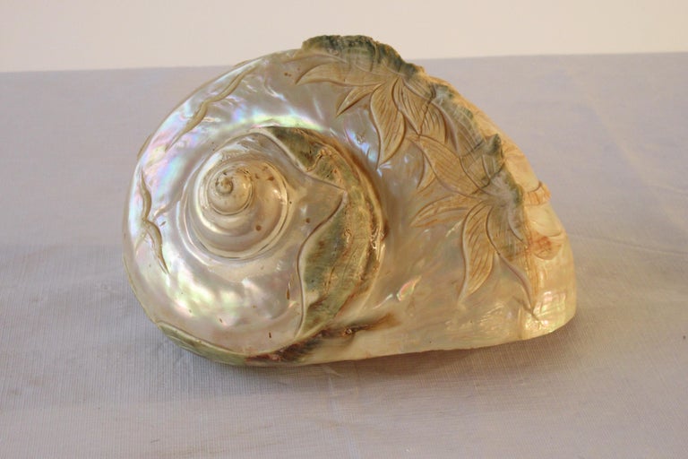 1950s Hand Carved Sea Shell at 1stDibs