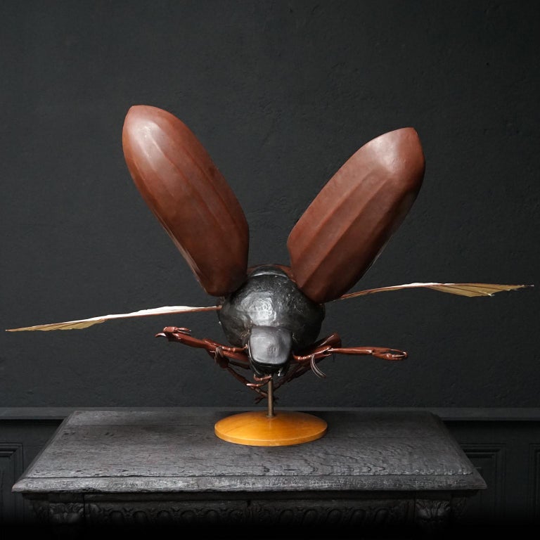 1950s Large Anatomical Classroom Model of a Flying May Bug at 1stDibs ...