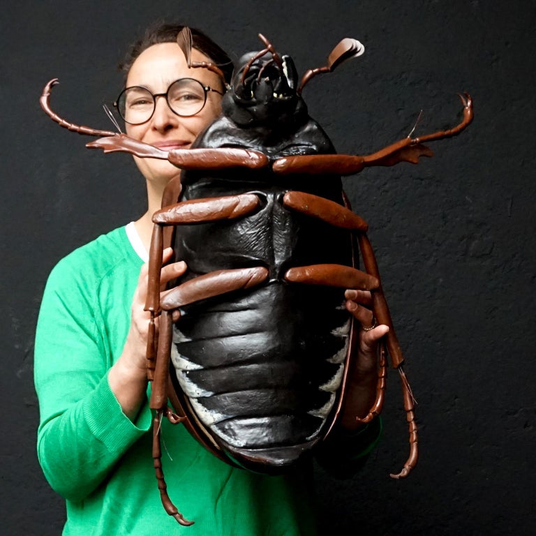 1950s Large Anatomical Classroom Model of a Flying May Bug at 1stDibs ...