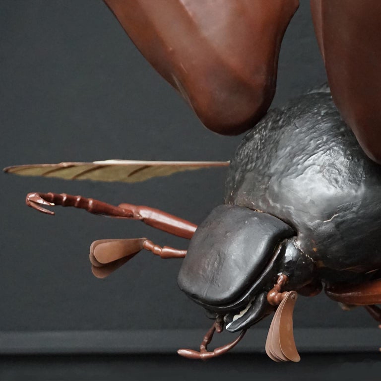 1950s Large Anatomical Classroom Model of a Flying May Bug at 1stDibs ...