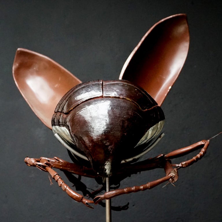 1950s Large Anatomical Classroom Model of a Flying May Bug at 1stDibs ...