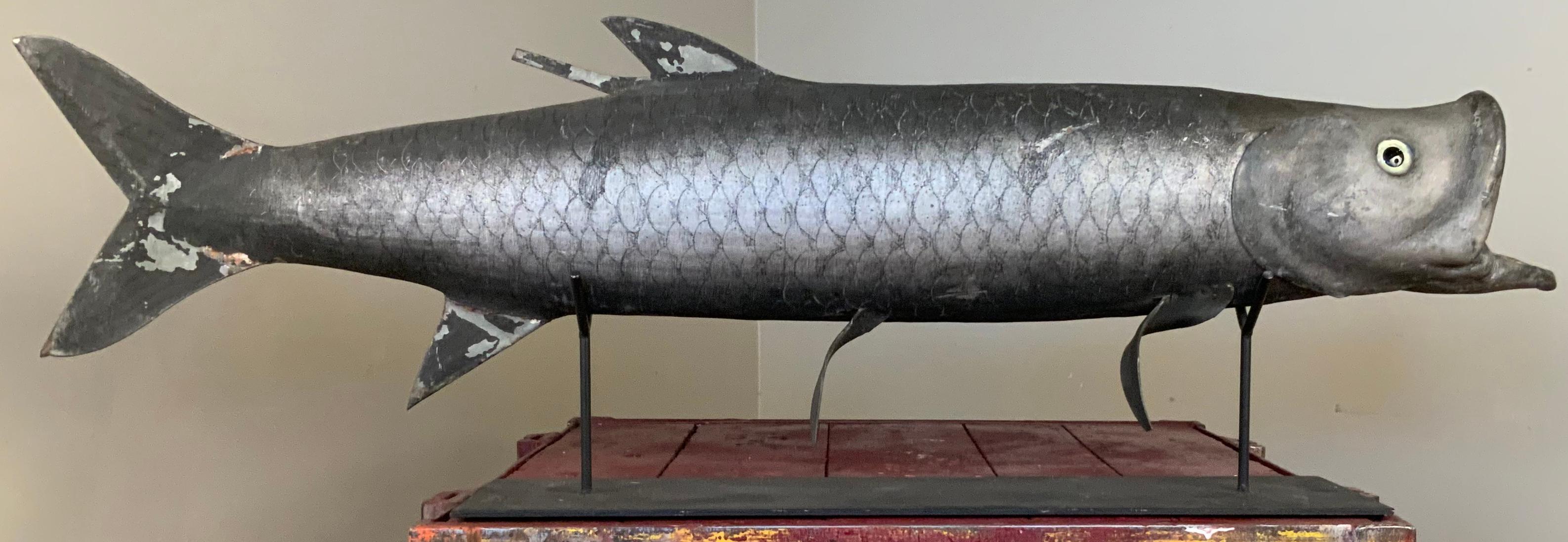 1950s Mounted Tarpon Photographers Model at 1stDibs