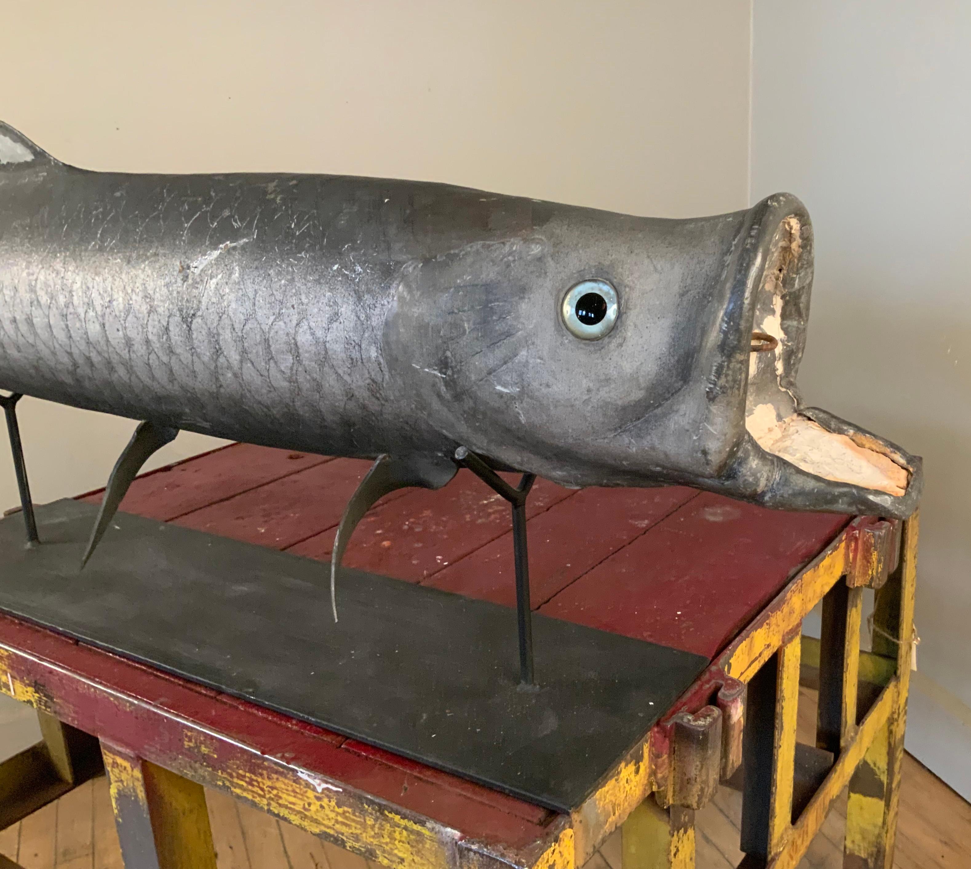 1950s Mounted Tarpon Photographers Model at 1stDibs