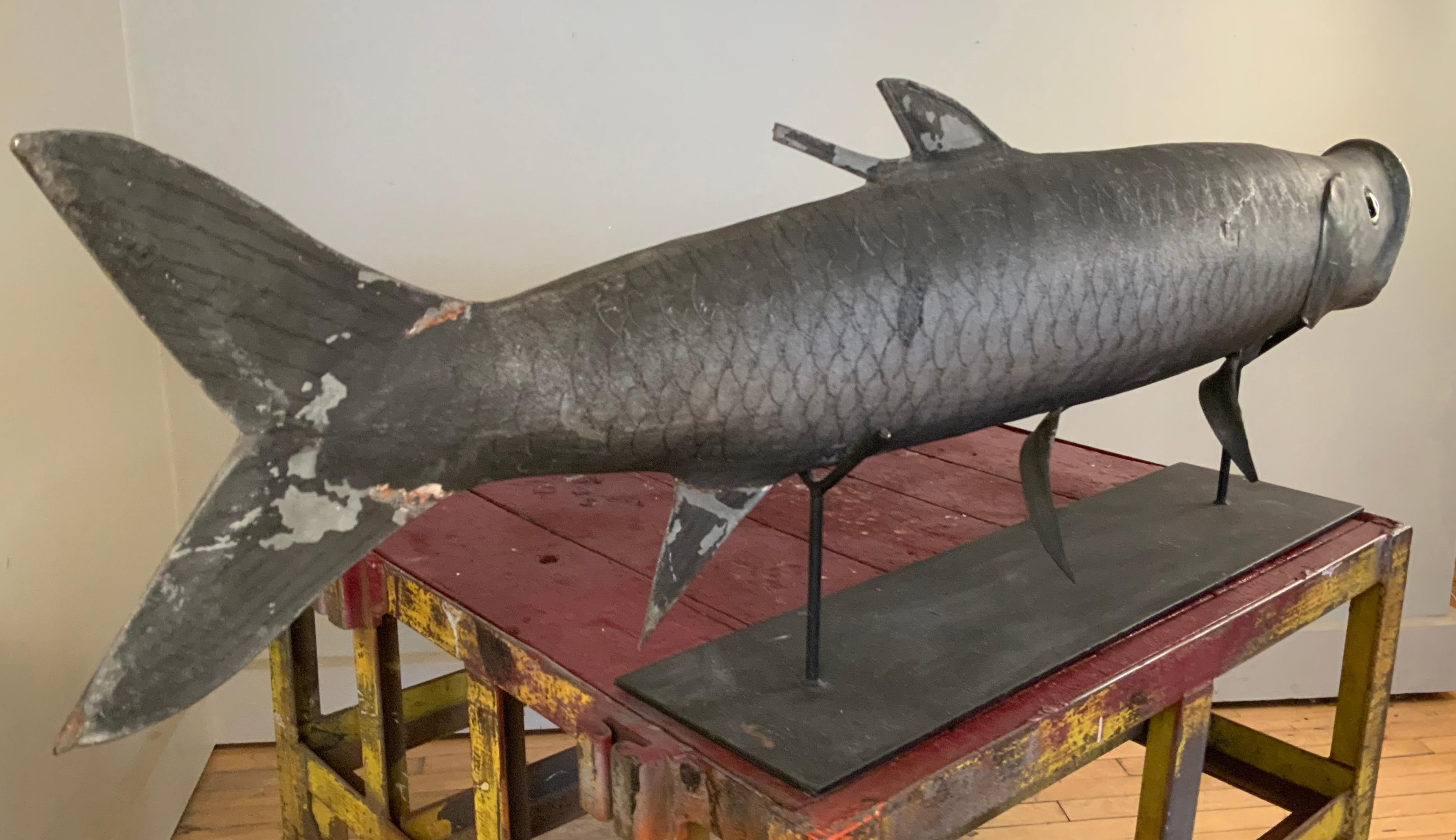 1950s Mounted Tarpon Photographers Model at 1stDibs