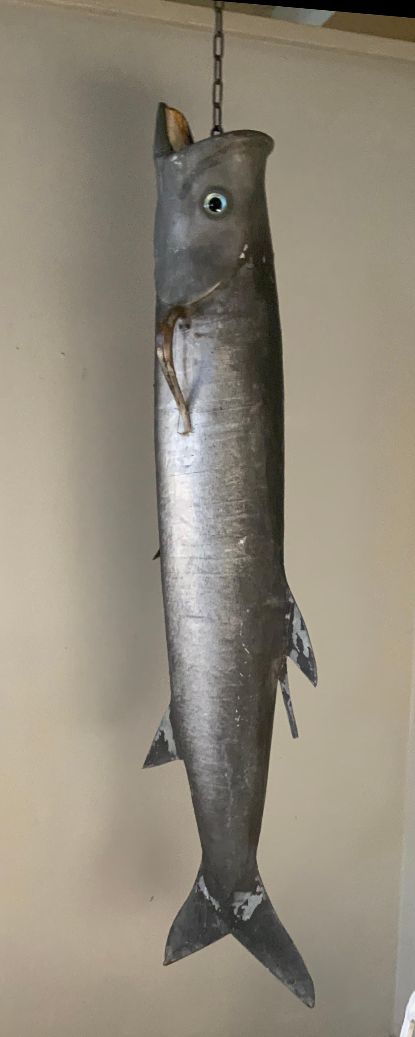 1950s Mounted Tarpon Photographers Model at 1stDibs