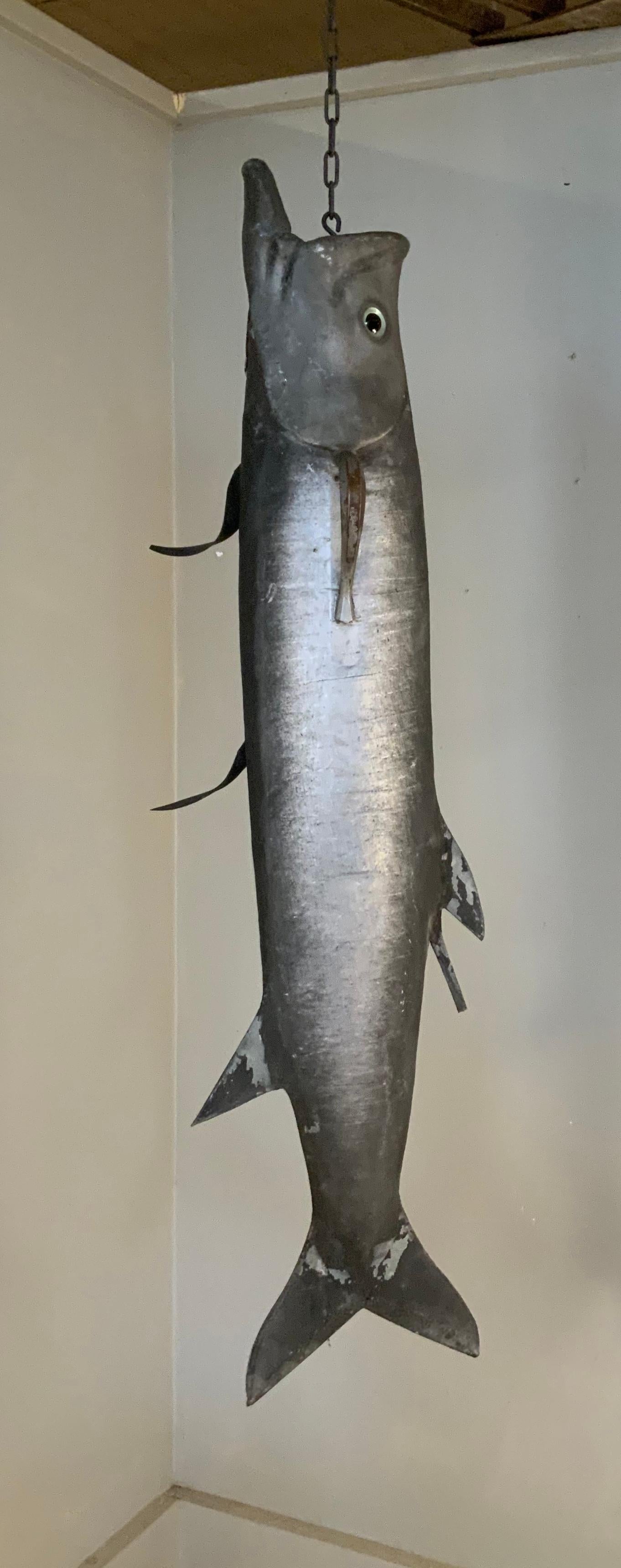 1950s Mounted Tarpon Photographers Model at 1stDibs