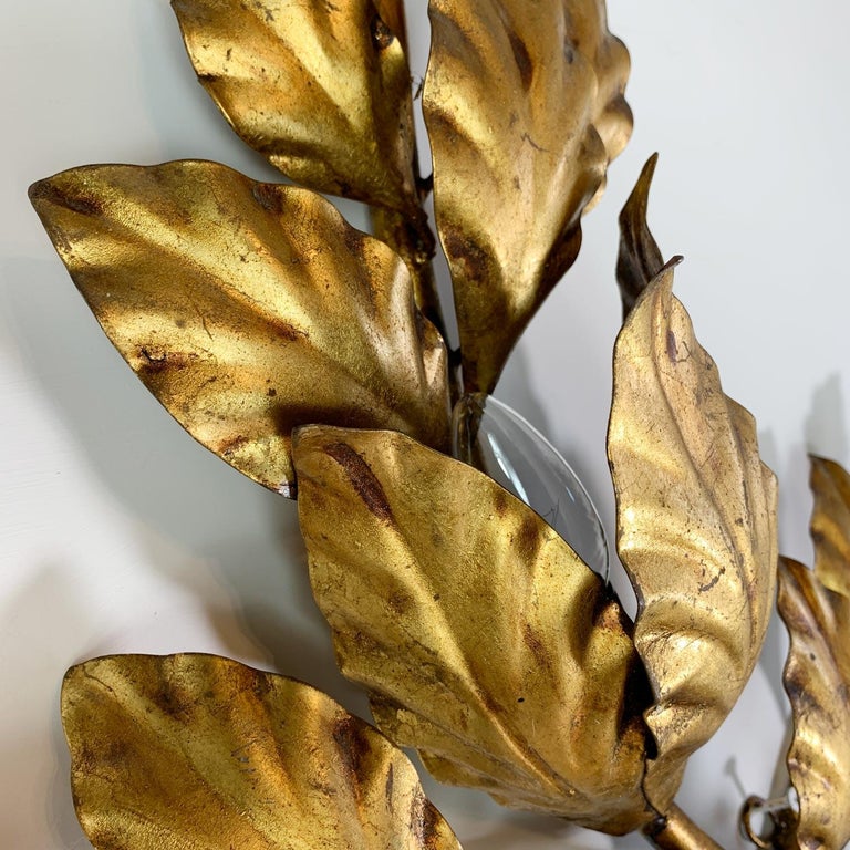 1950's Statement Italian Gilt Leaf Wall Sconce For Sale at 1stDibs
