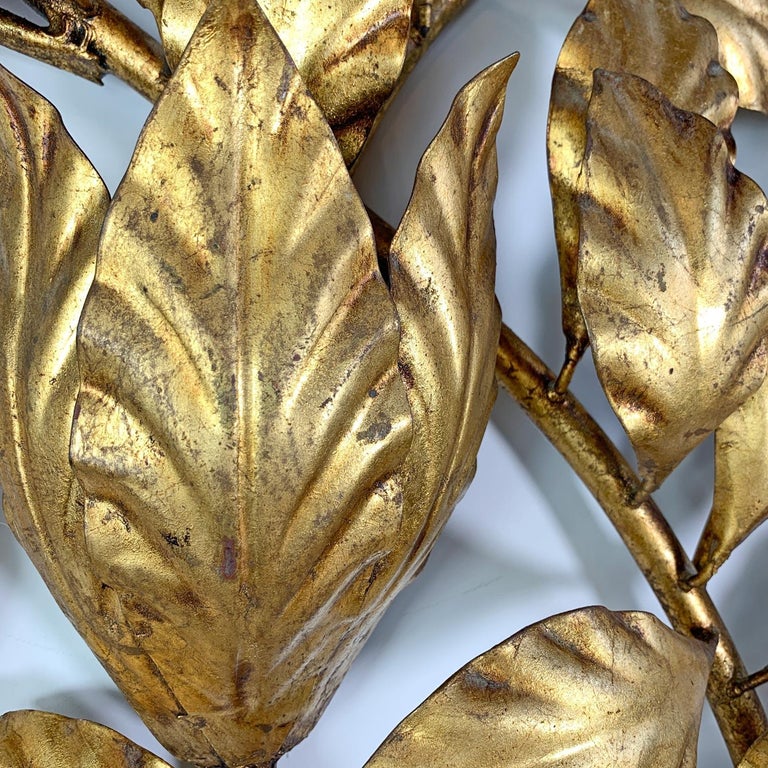 1950's Statement Italian Gilt Leaf Wall Sconce For Sale at 1stDibs