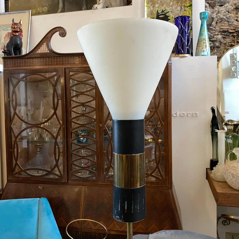1950s Stilnovo Mid-Century Modern Italian Floor Lamp For Sale at 1stDibs