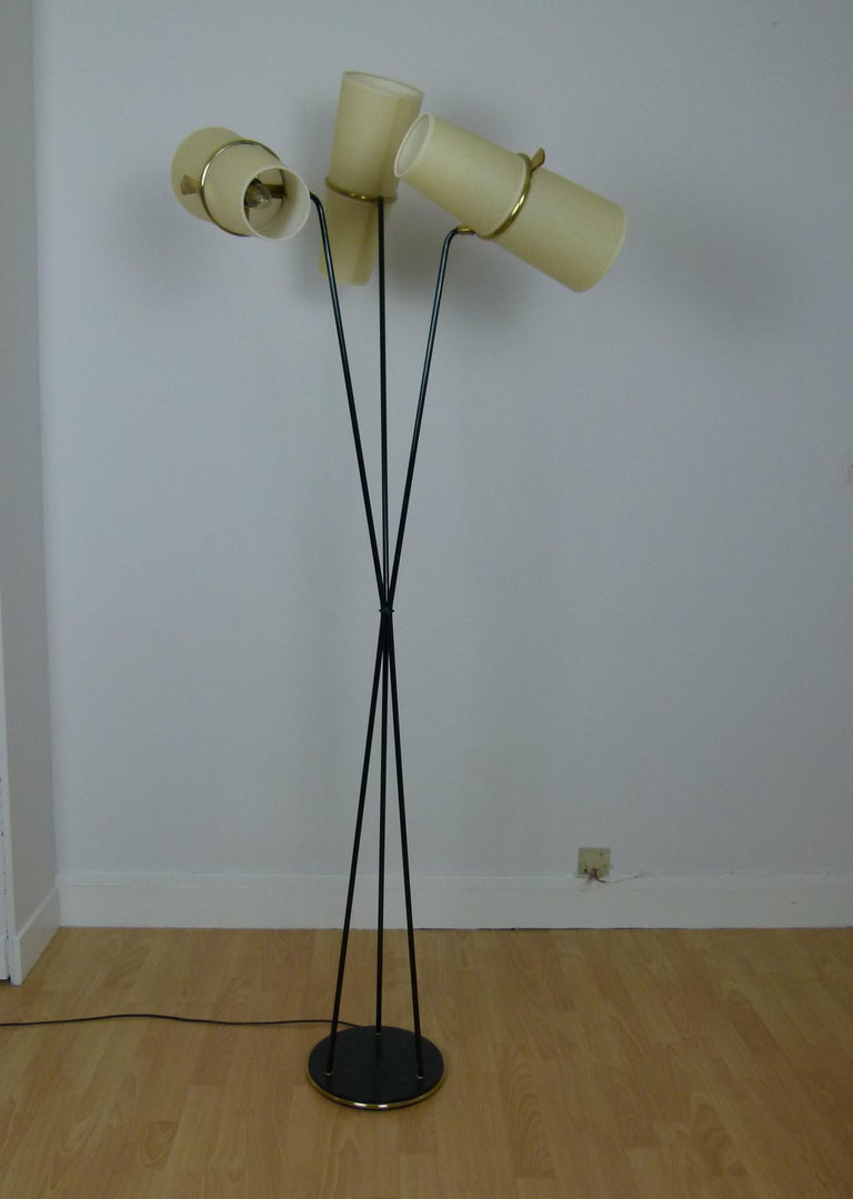 1950s Triple Lighting Floor Lamp by Maison Lunel at 1stDibs