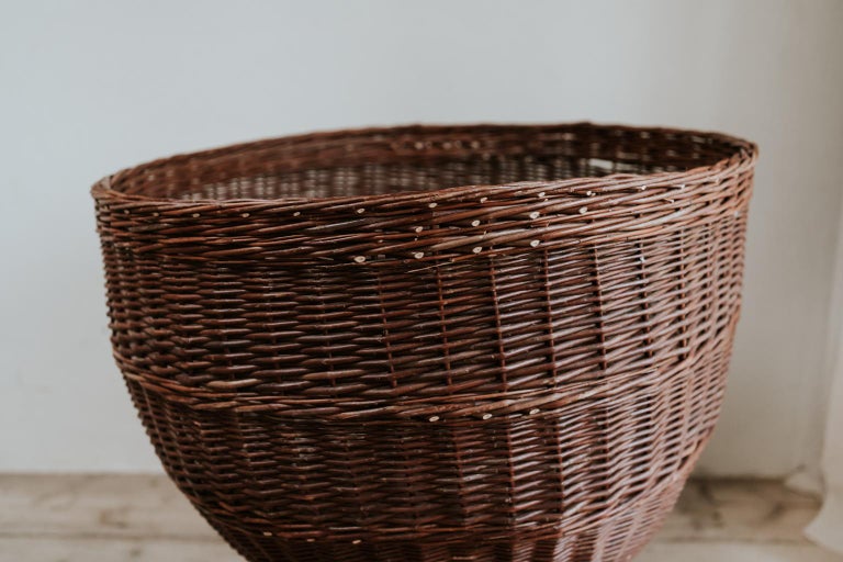 1950s Extra Large Rattan/Wicker Jardinière/Planter For Sale at 1stDibs ...