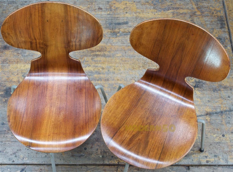 1953 Arne Jacobsen Tri-Leg Teak Ant Chairs Fritz Hansen Danish ...