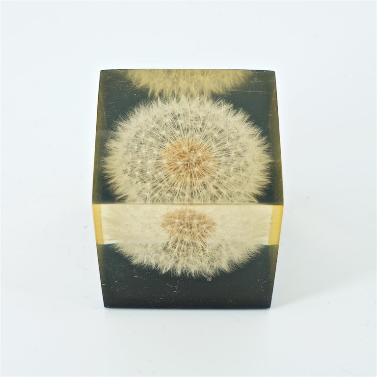 1960s Dandelion Resin Art Paperweight Vintage McM Modern Flower Power ...