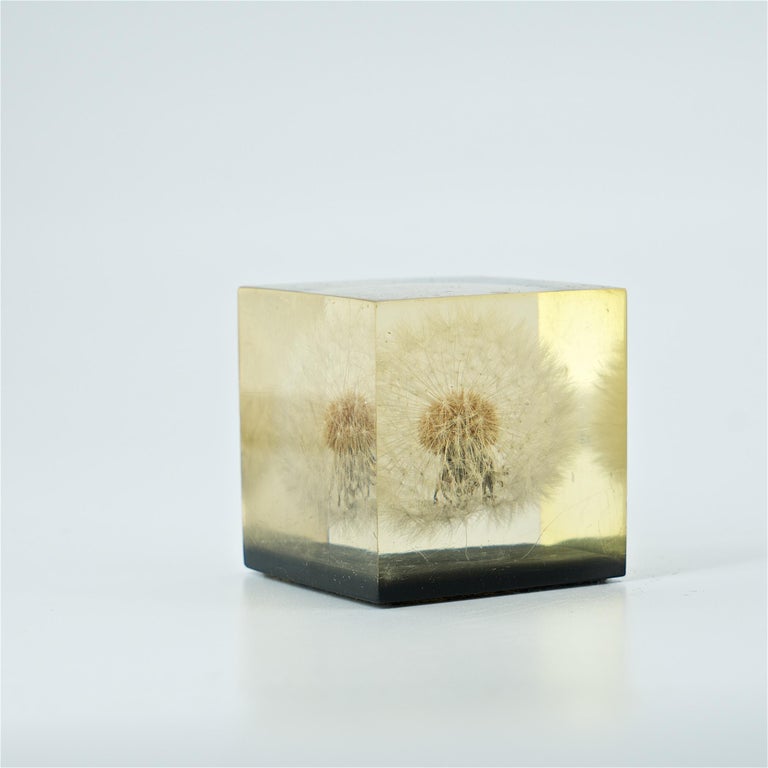 1960s Dandelion Resin Art Paperweight Vintage McM Modern Flower Power ...