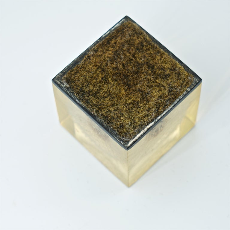 1960s Dandelion Resin Art Paperweight Vintage McM Modern Flower Power ...