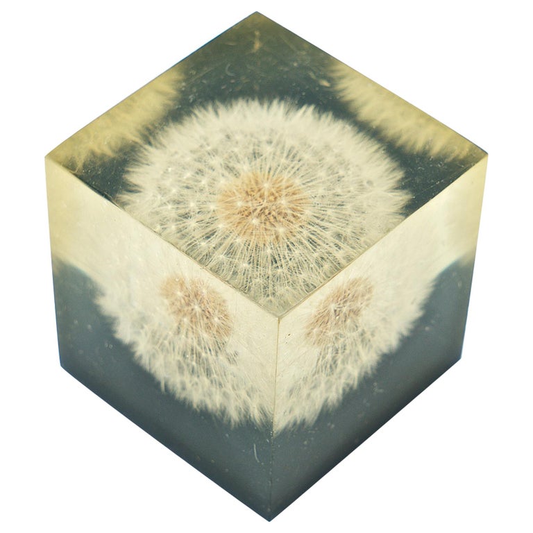 1960s Dandelion Resin Art Paperweight Vintage McM Modern Flower Power ...
