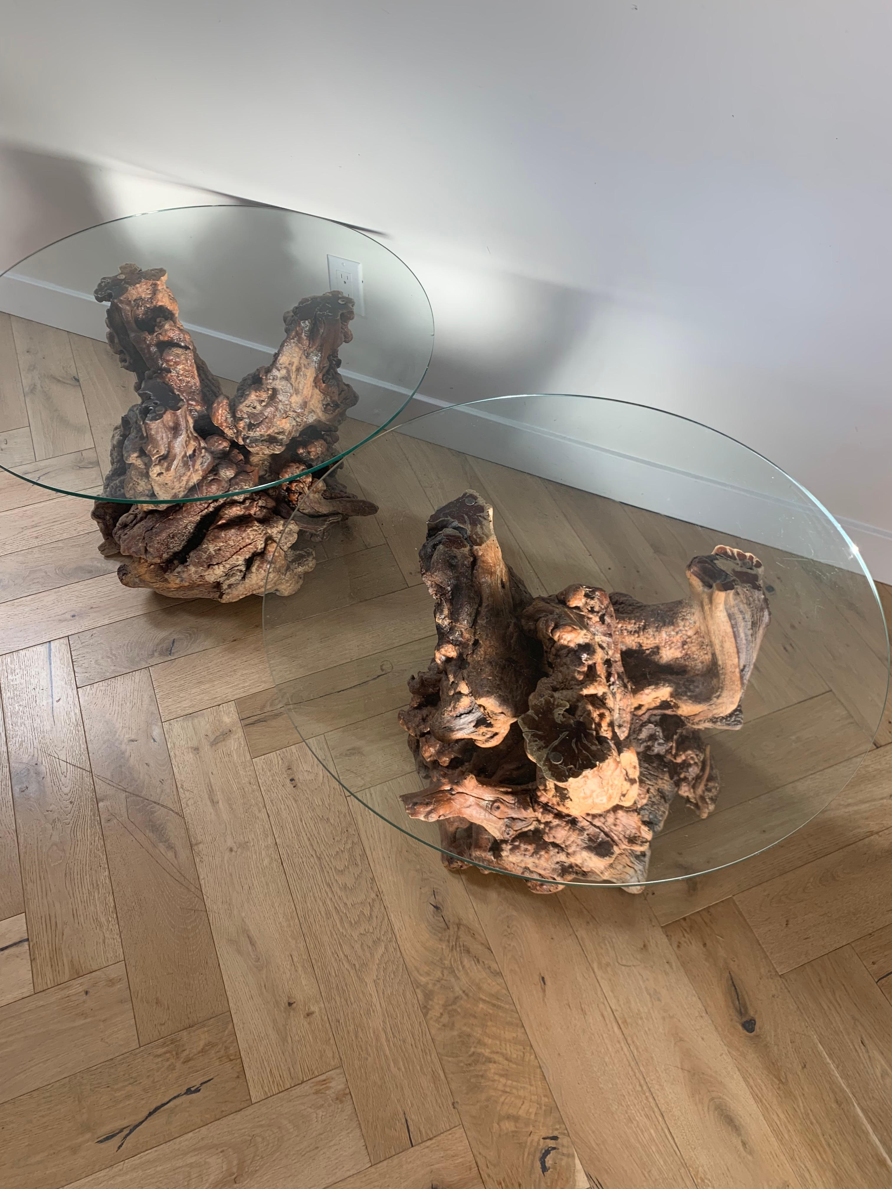 1960s Organic Root Wood Side Tables at 1stDibs