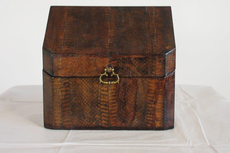 1960s Snakeskin Box For Sale at 1stDibs