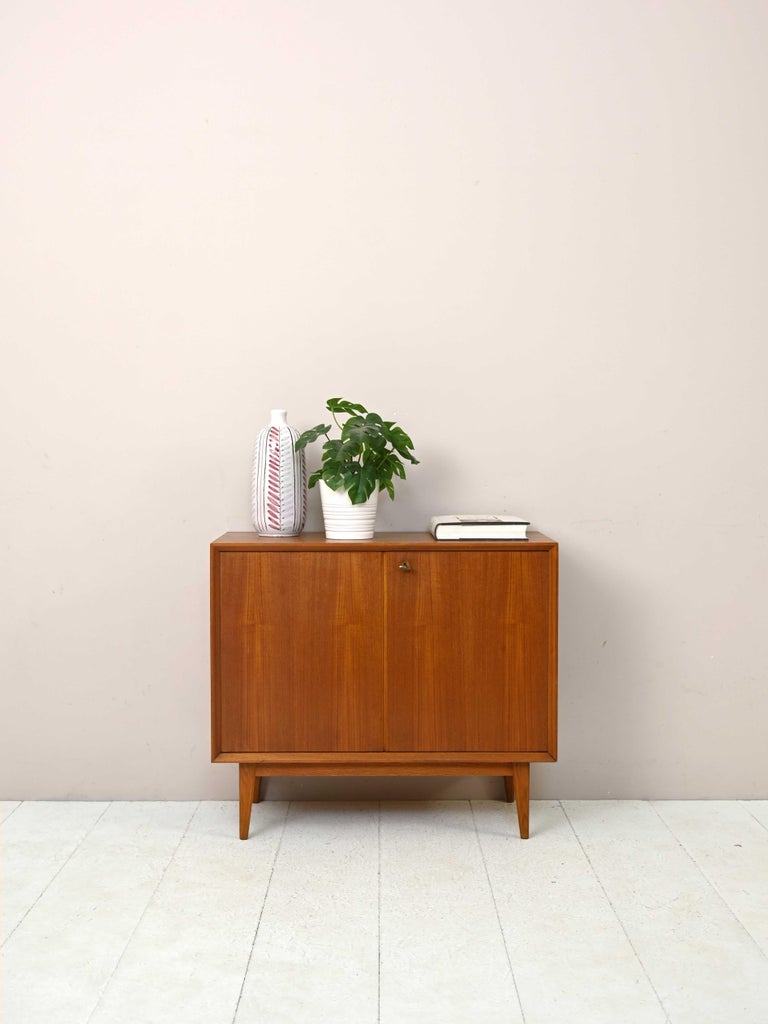 Teak Cabinet with Hinged Doors, 1960s For Sale at 1stDibs