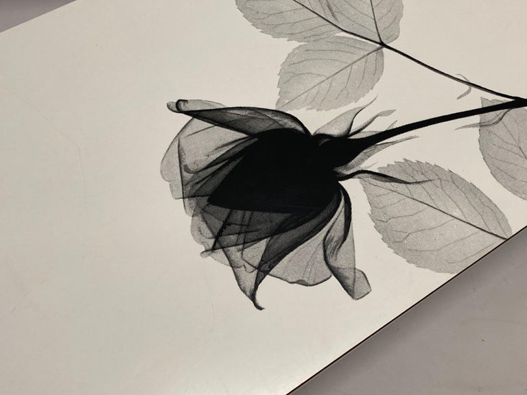 1960's Terence Conran, England, x Ray Rose Formica Coffee Table For ...