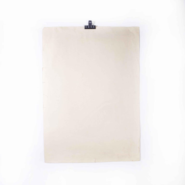 1970's Goose Educational Poster For Sale at 1stDibs