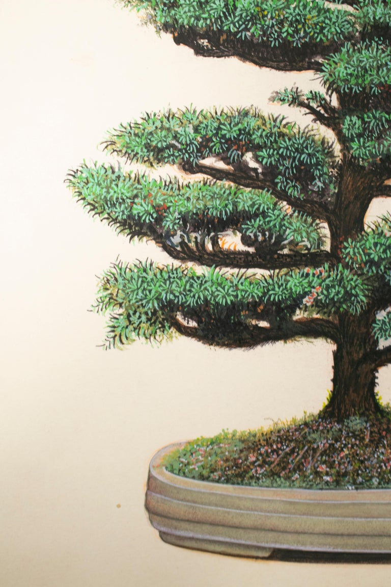 1970s Indian Bonsai Paper Drawing For Sale at 1stDibs