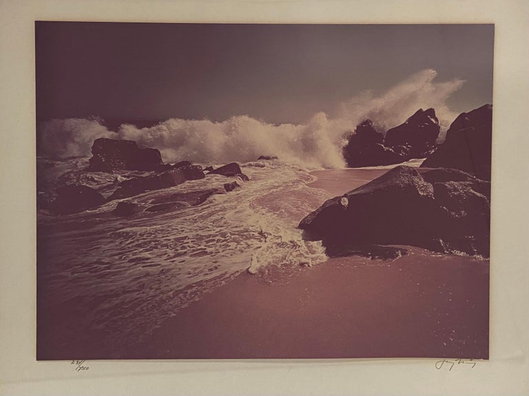 jay meisel photography