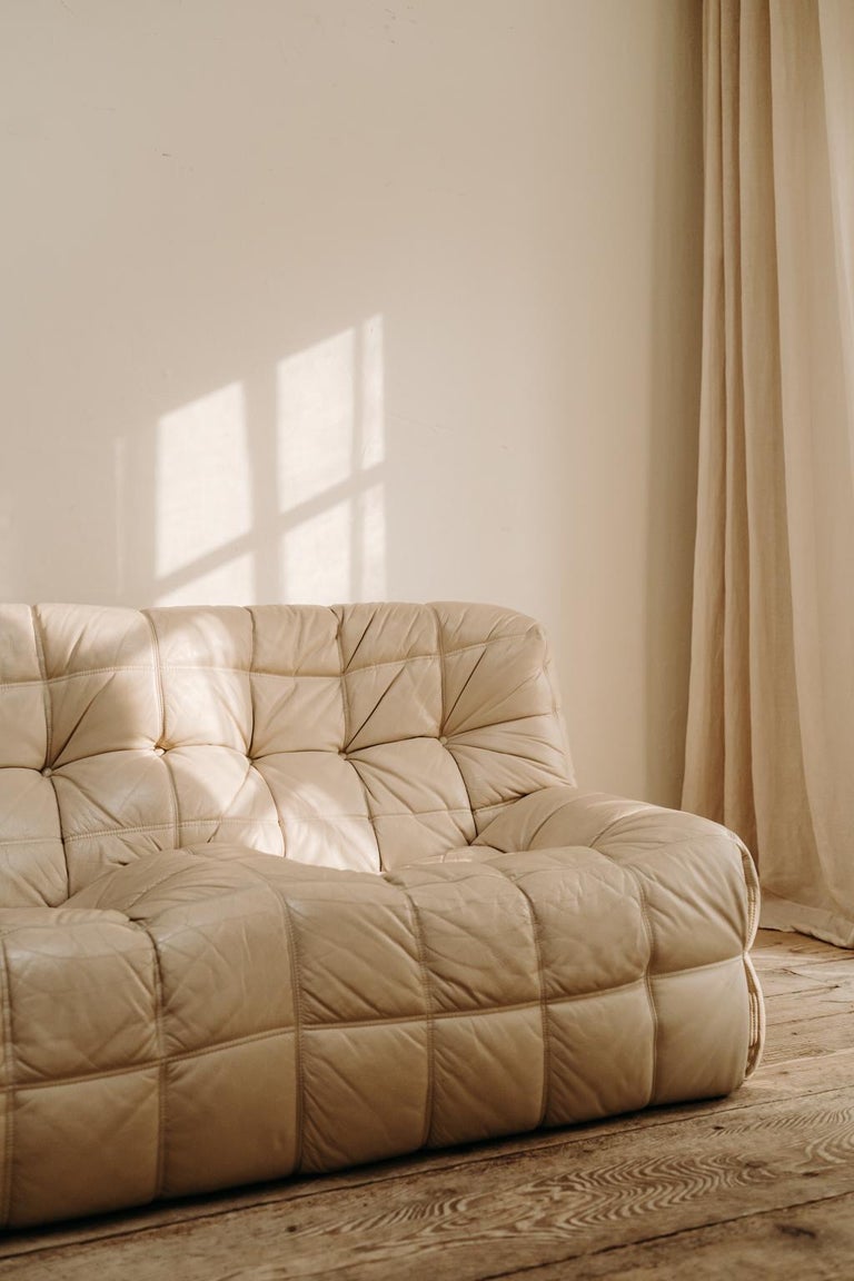 1970's Leather Kashima Three-Seat Sofa by Michel Ducaroy for Ligne ...